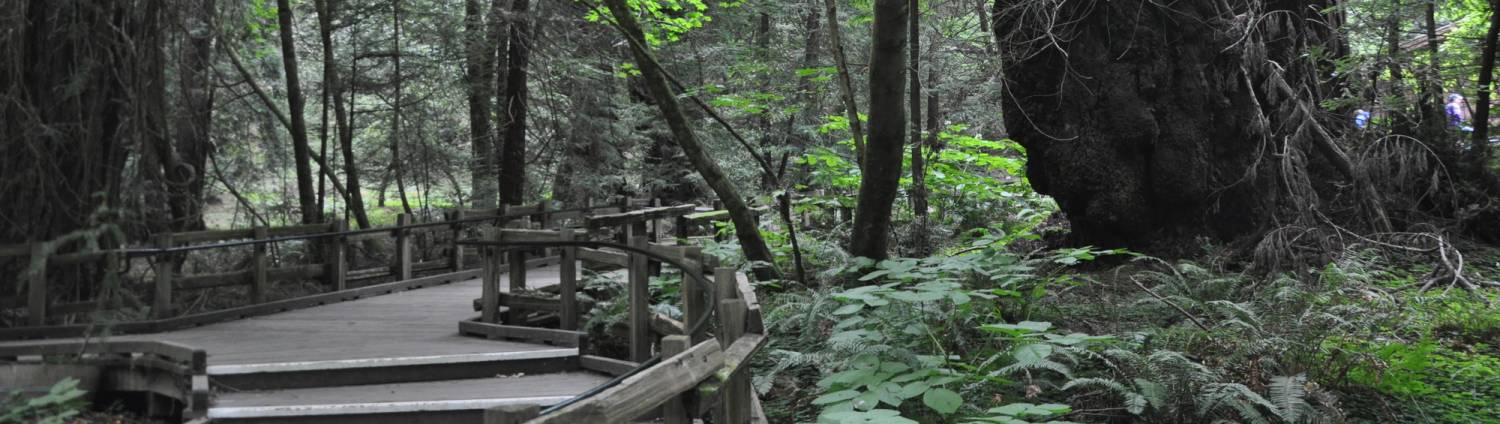 Presbyterian Mission Agency Earth Care Congregations | Sustainable ...