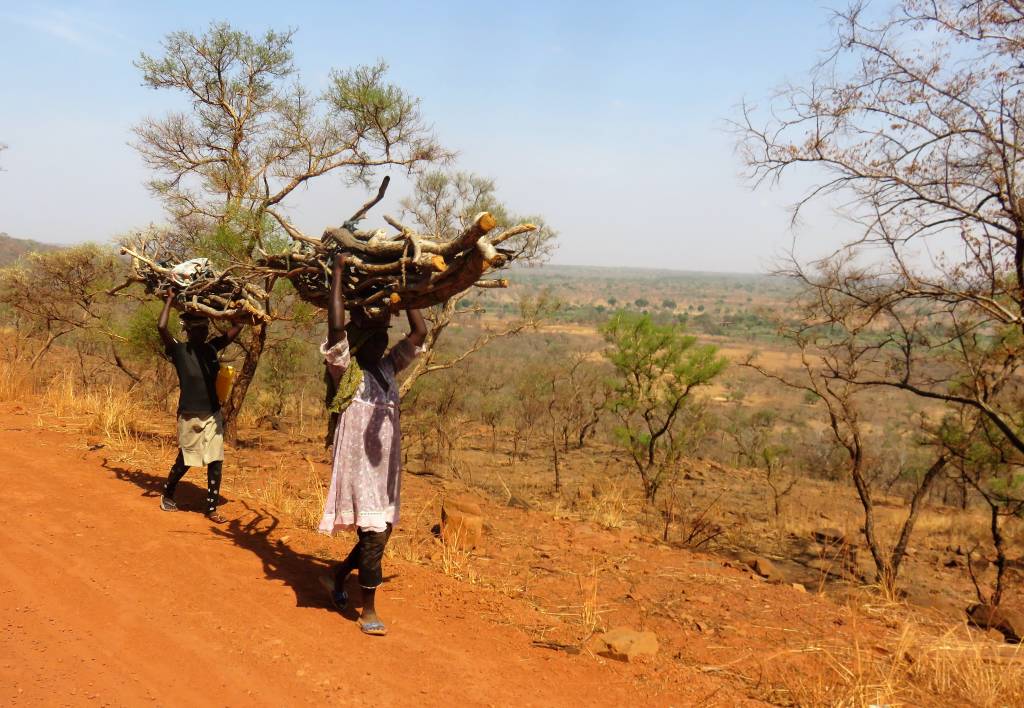 Presbyterian Mission Agency Foraging for Wood and Fetching Water ...