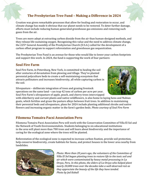 Presbyterian Mission Agency Tree Fund Resources | Presbyterian Mission ...