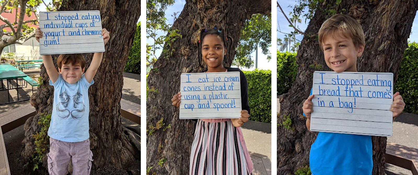 Presbyterian Mission Agency Becoming an Earth Care congregation ...