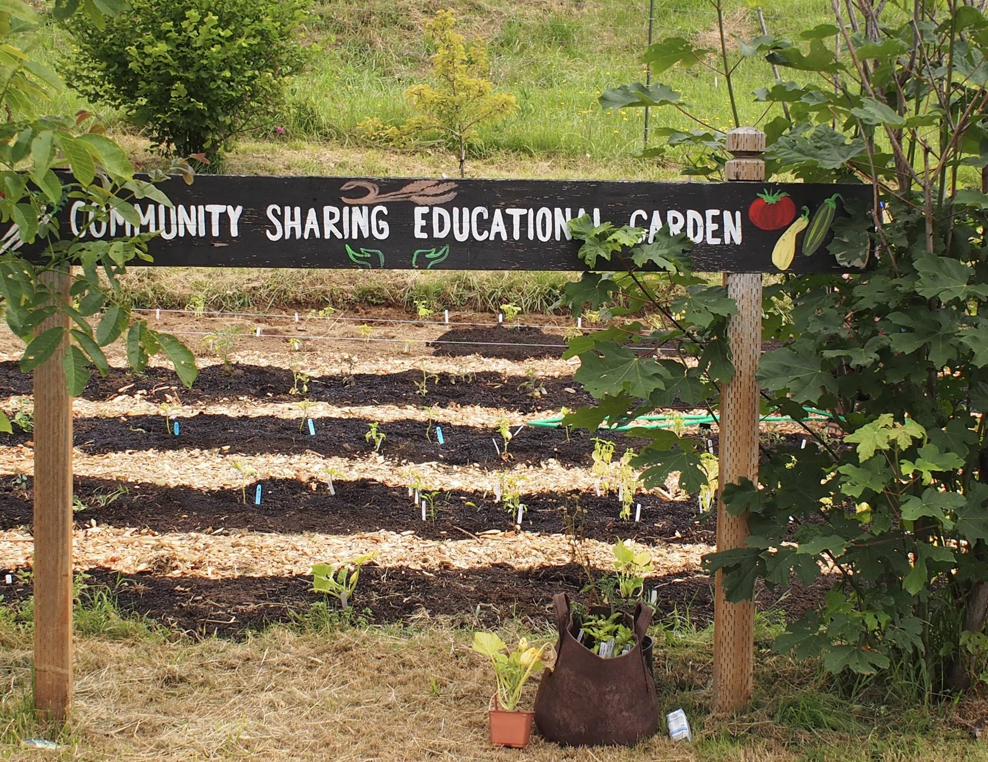 Food and Faith Community Sharing Garden Restoration Project - Food and ...